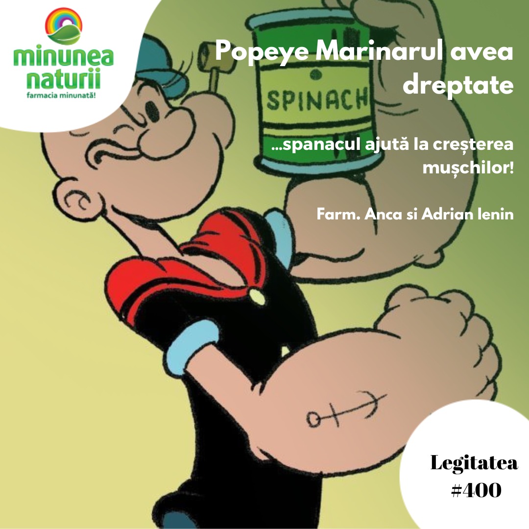 Popeye Marinarul avea dreptate, spanacul ajuta la cresterea muschilor (Legitatea #400 ...