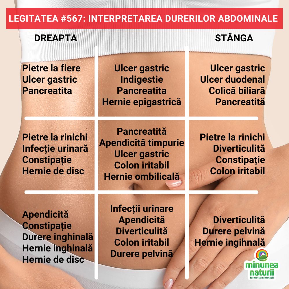 Interpretarea durerilor abdominale în funcție de localizare (Legitatea ...