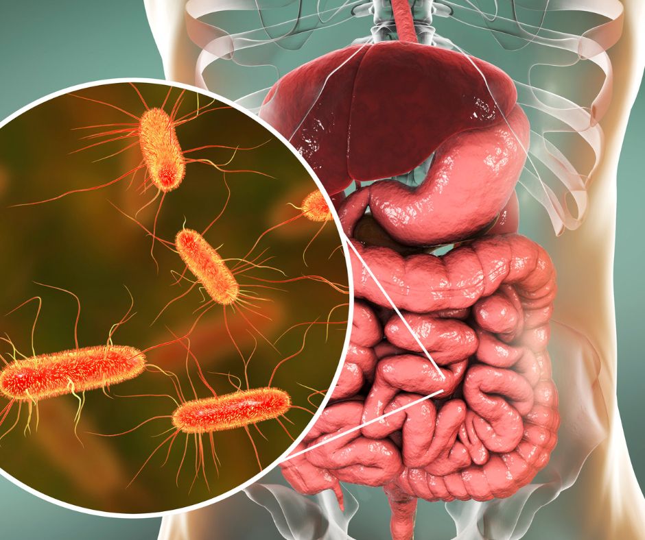 Legătura dintre microbiomul intestinal, sănătatea mentală și a preveni ...
