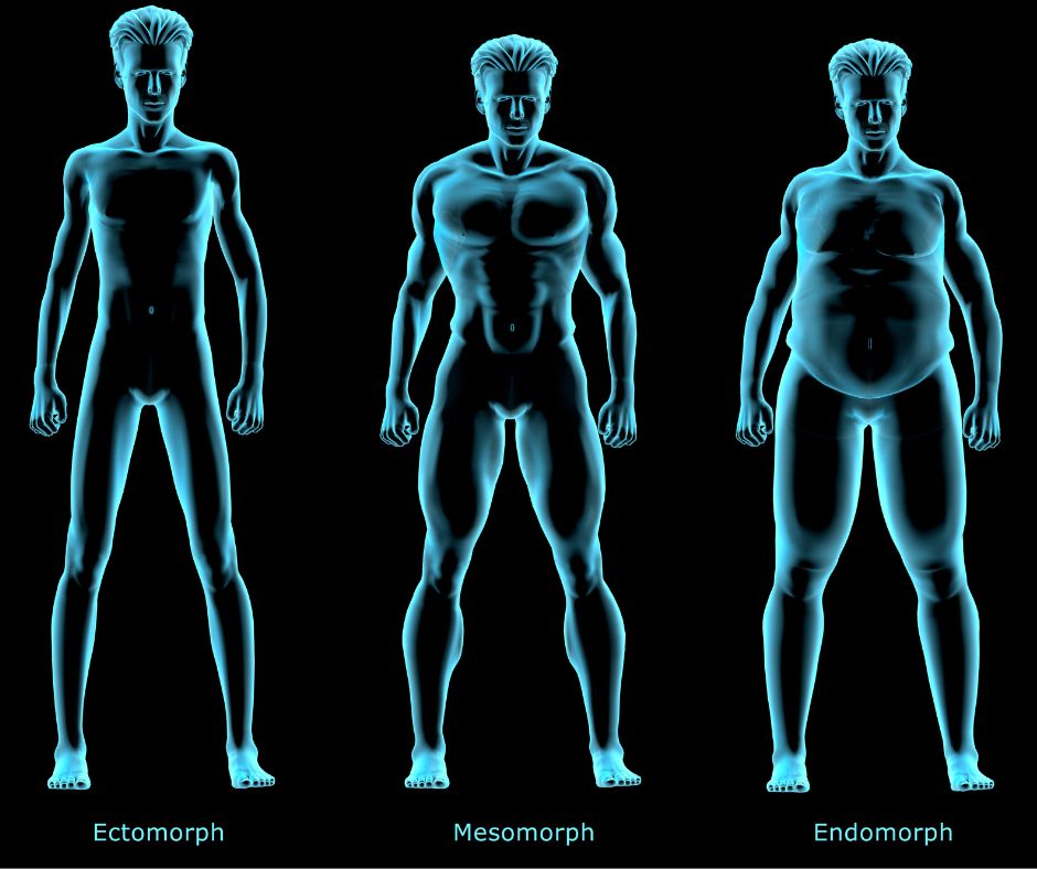 Endomorf, Ectomorf sau Mezomorf - tipurile de metabolism și ...