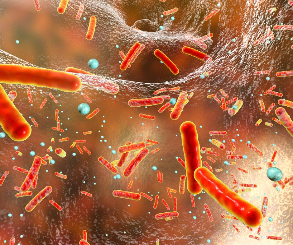 Antoine Bechamp vs Louis Pasteur, terenul sau microbul - teoria ...